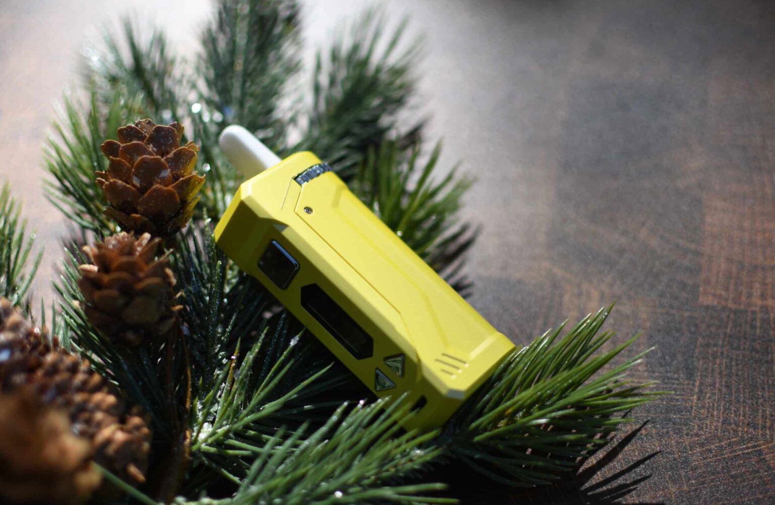 How To Use CBN Isolate: Everything You Need To Know