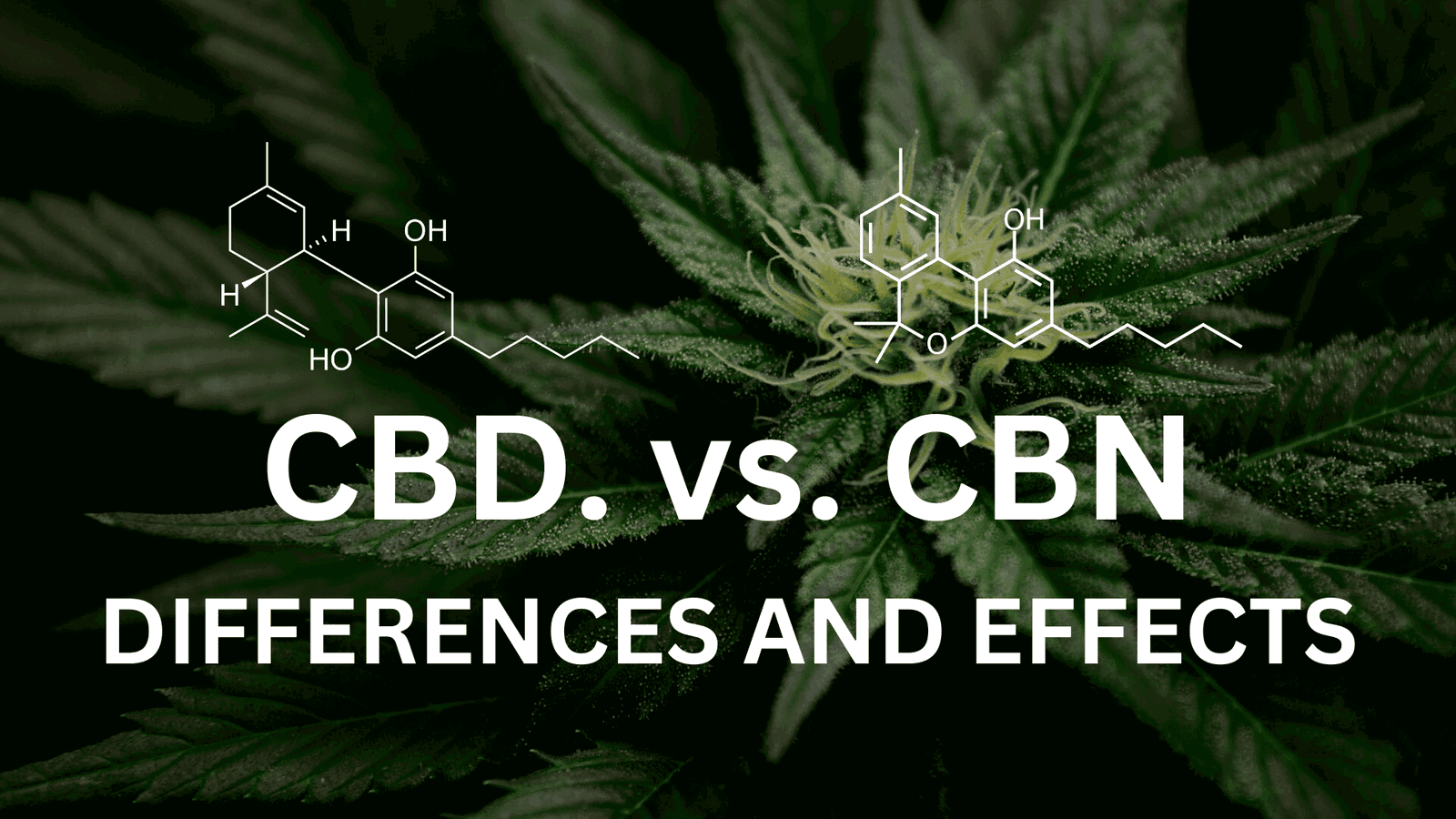CBD Vs. CBN: Differences And Effects | Harbor City Hemp