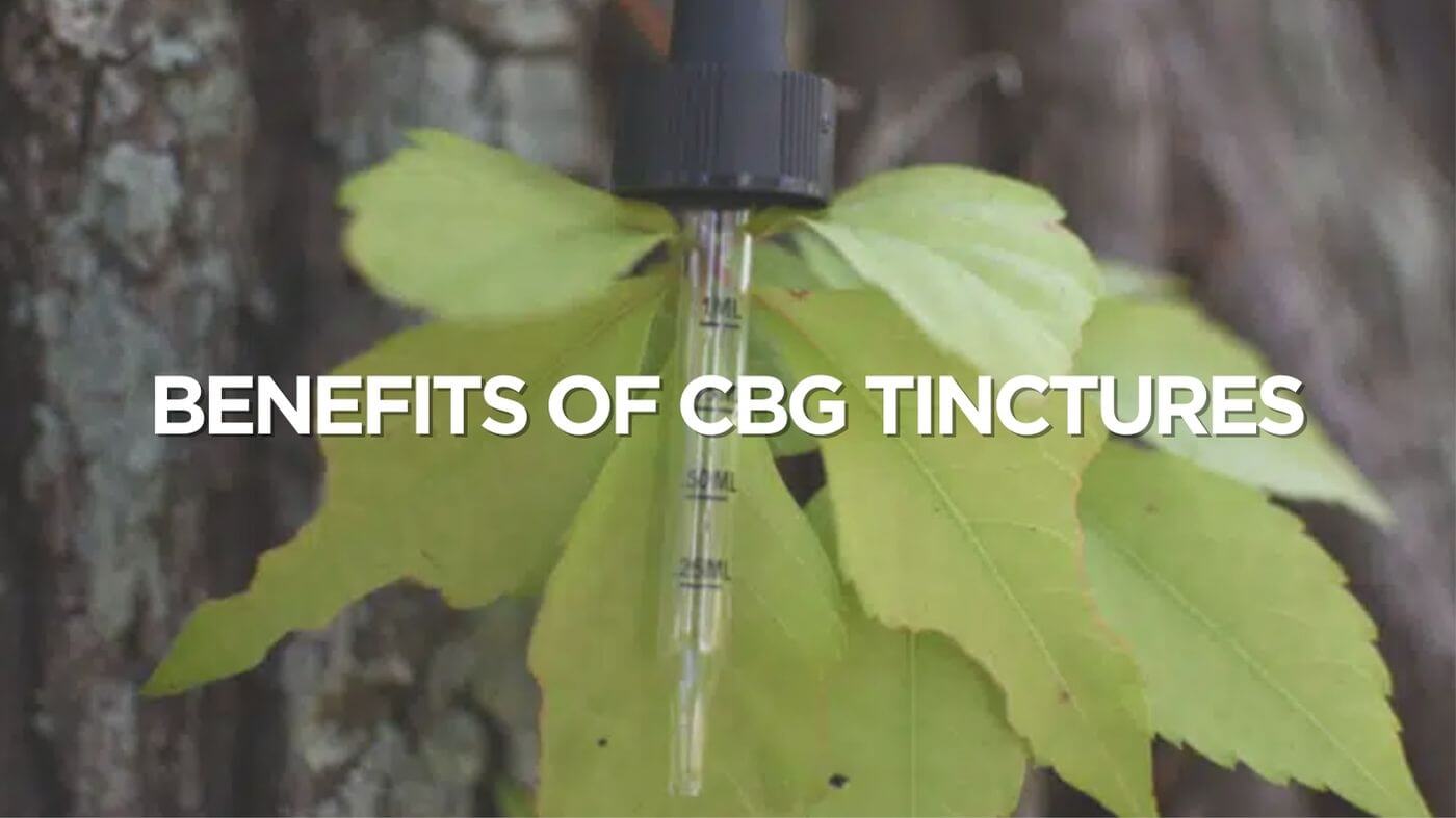 The Advantages Of Using CBG Tinctures | Harbor City Hemp