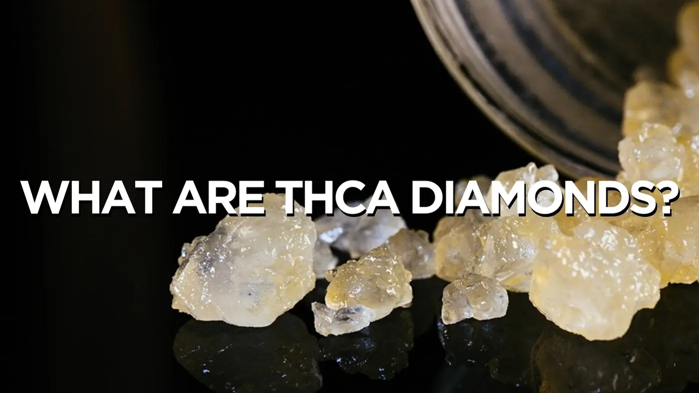 Unveiling The Brilliance Of THCa Diamonds | Harbor City Hemp