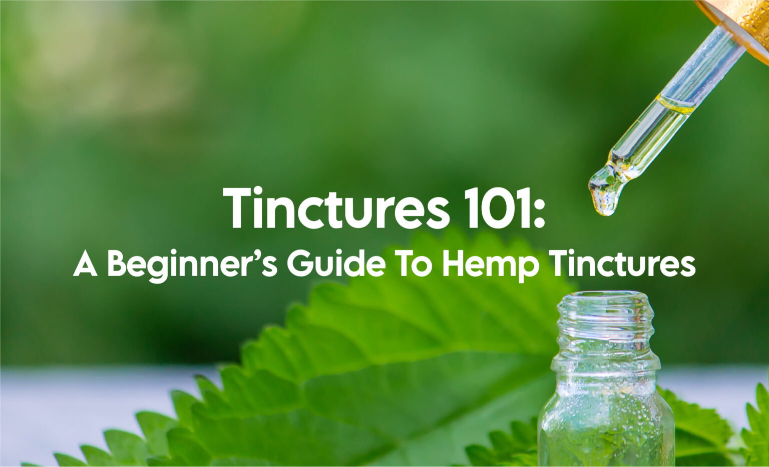 Tinctures 101: A Beginner's Guide To Hemp Tinctures - Harbor City Hemp