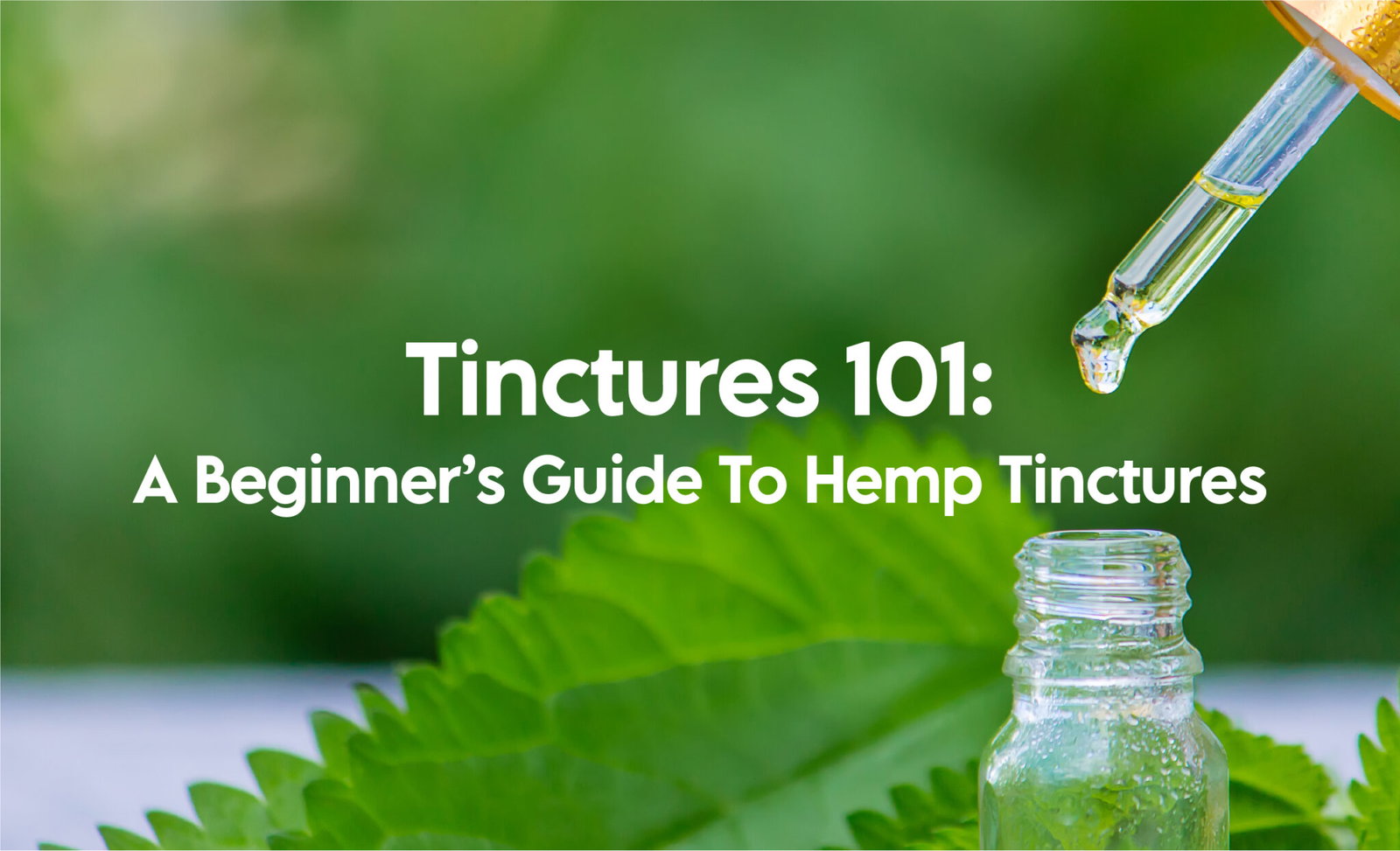 Tinctures 101: A Beginner's Guide To Hemp Tinctures - Harbor City Hemp